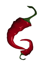 Ghost Pepper Plant Scoville, Colors And [Updated] Grow Guide