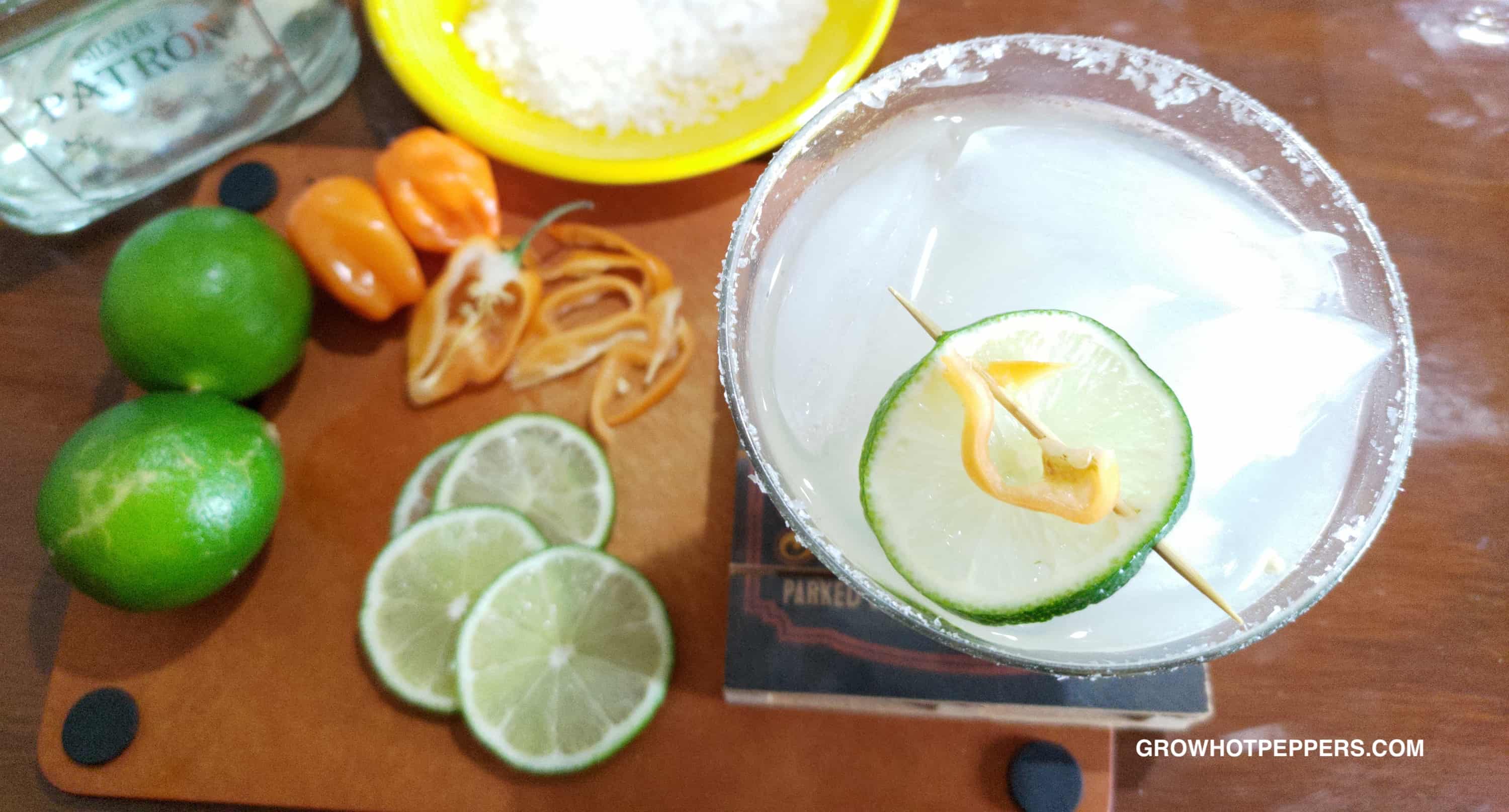 Spicy Margarita Recipe: Habanero, Lime & Tequila | Grow Hot Peppers