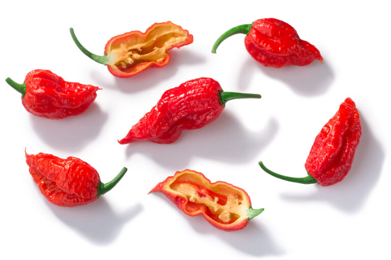 Ghost Pepper Plant Scoville, Colors And [Updated] Grow Guide