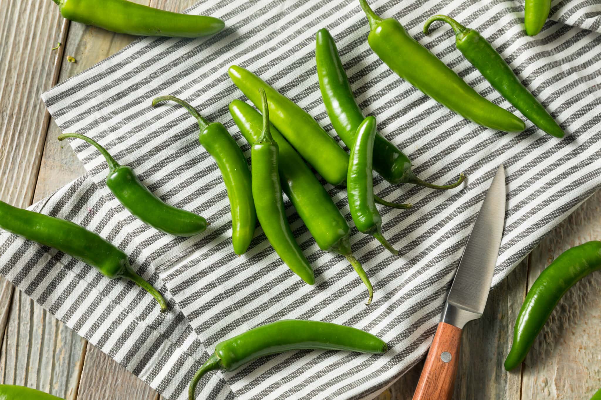 When To Pick Peppers (& How) + Best Tips For 12 Different Varieties ...
