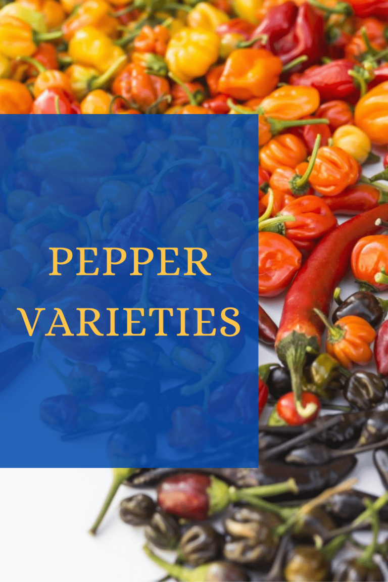 Top 10 Hottest Peppers List [2021] Ranked by Scoville | Grow Hot Peppers