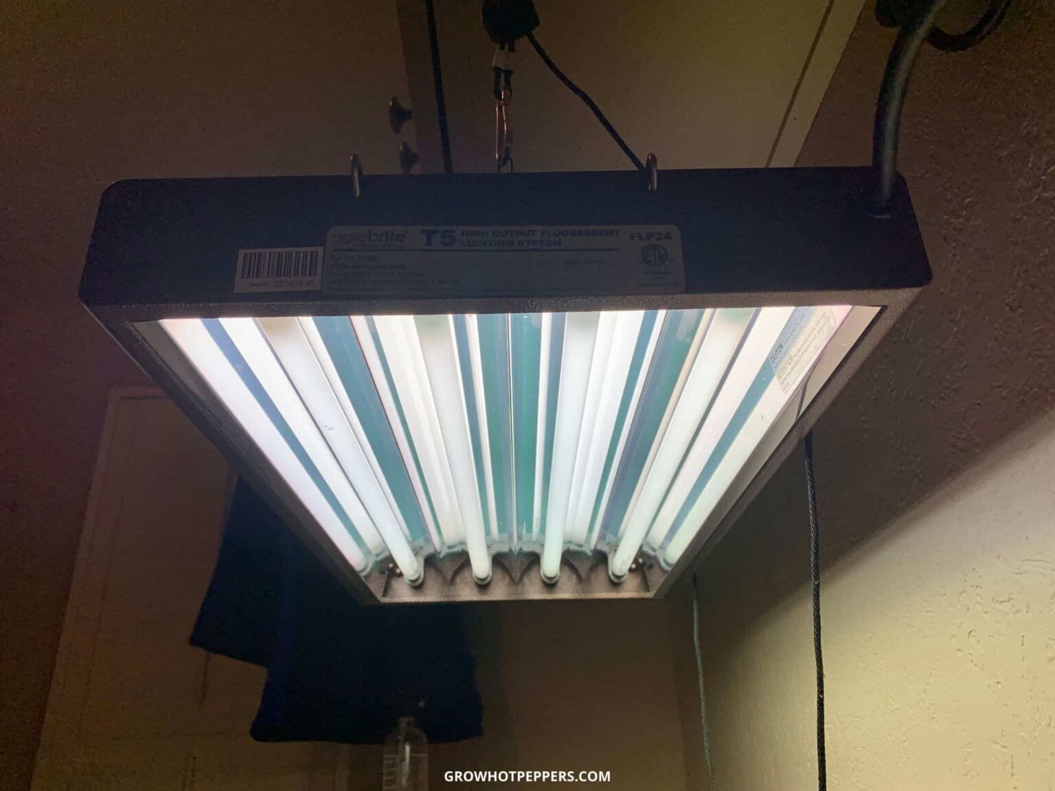 Growing Peppers From Seed To Harvest - Grow Hot Peppers