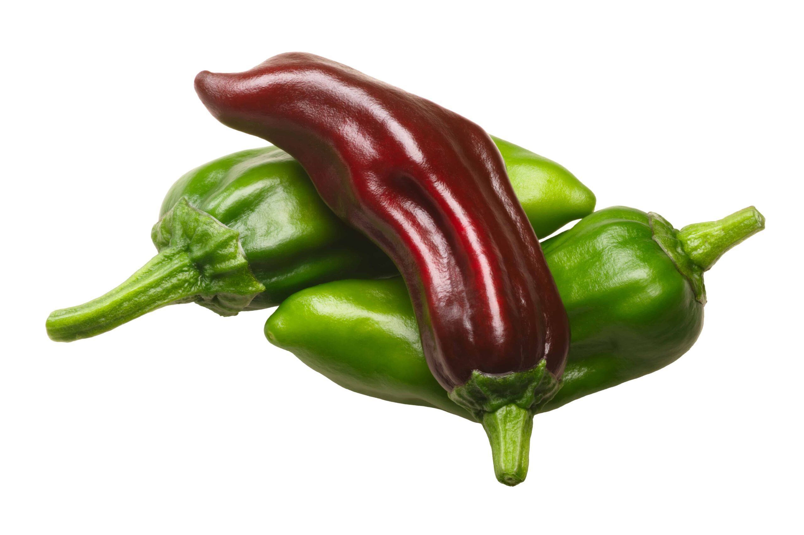 When To Pick Peppers (& How) + Best Tips For 12 Different Varieties ...