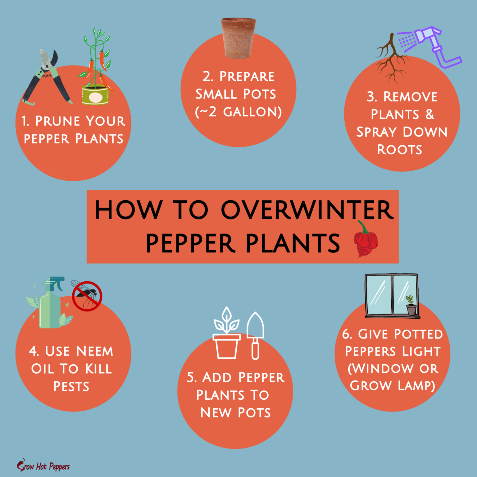 Overwintering Pepper Plants (2026): Save Plants For Next Year - Grow ...