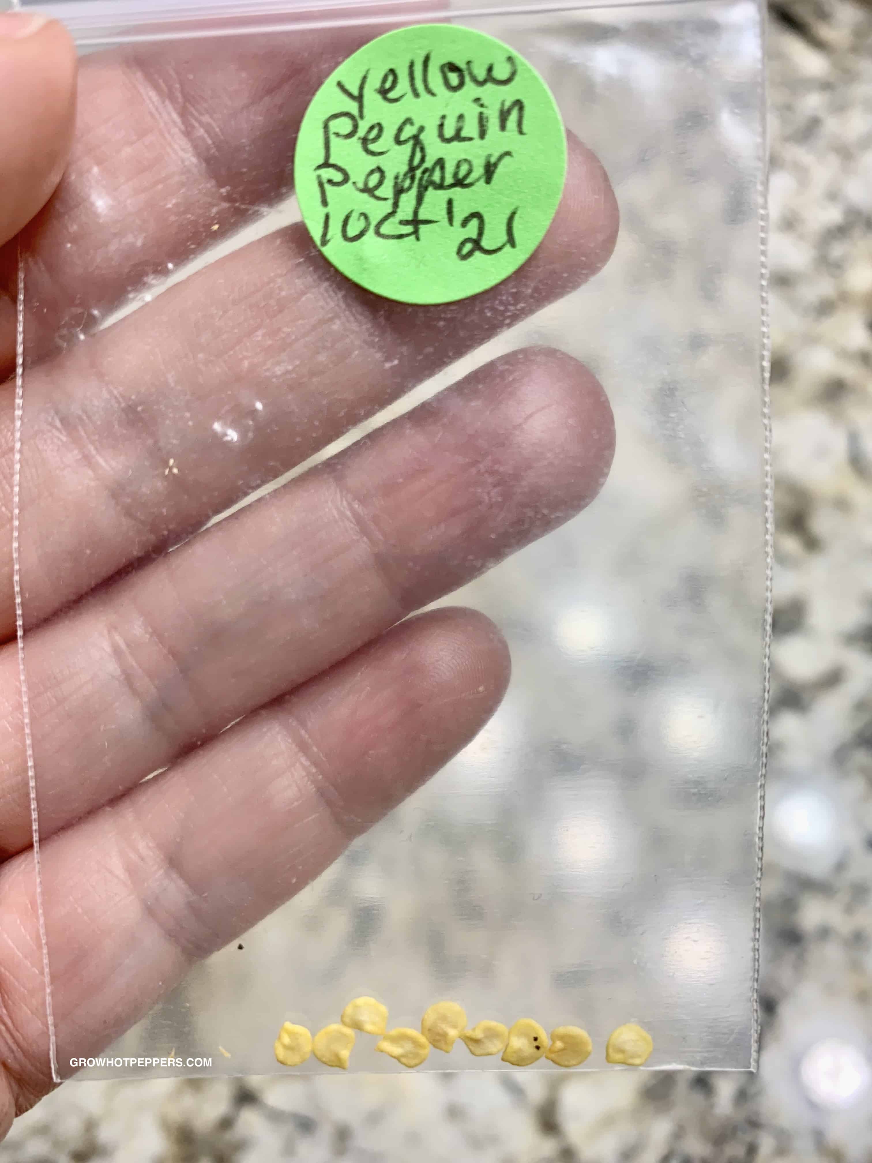 Pequin Pepper (Chile Piquin): A Tiny Red Pepper That's Big On Heat ...