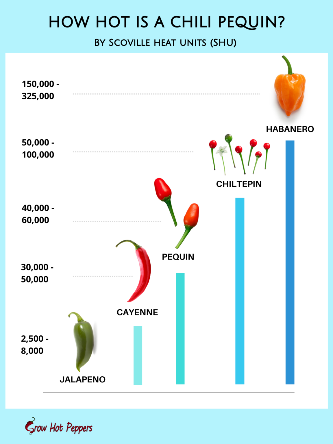 Pequin Pepper (Chile Piquin): A Tiny Red Pepper That's Big On Heat ...