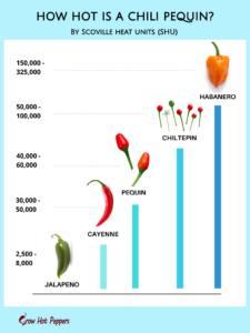 Pequin Pepper (Chile Piquin): A Tiny Red Pepper That's Big On Heat ...
