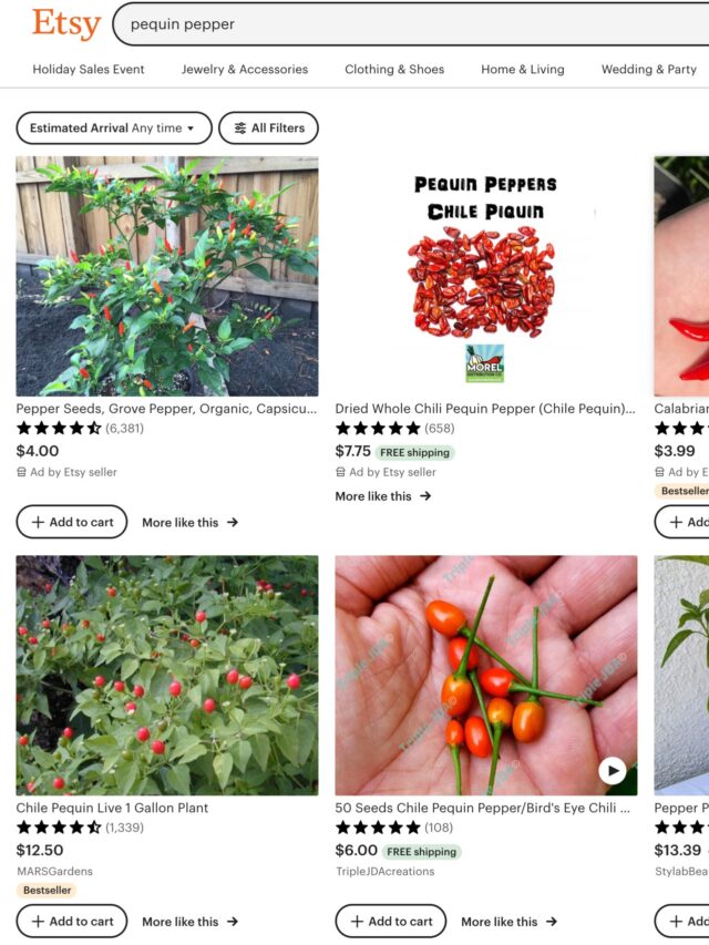 Pequin Pepper (Chile Piquin): A Tiny Red Pepper That's Big On Heat ...