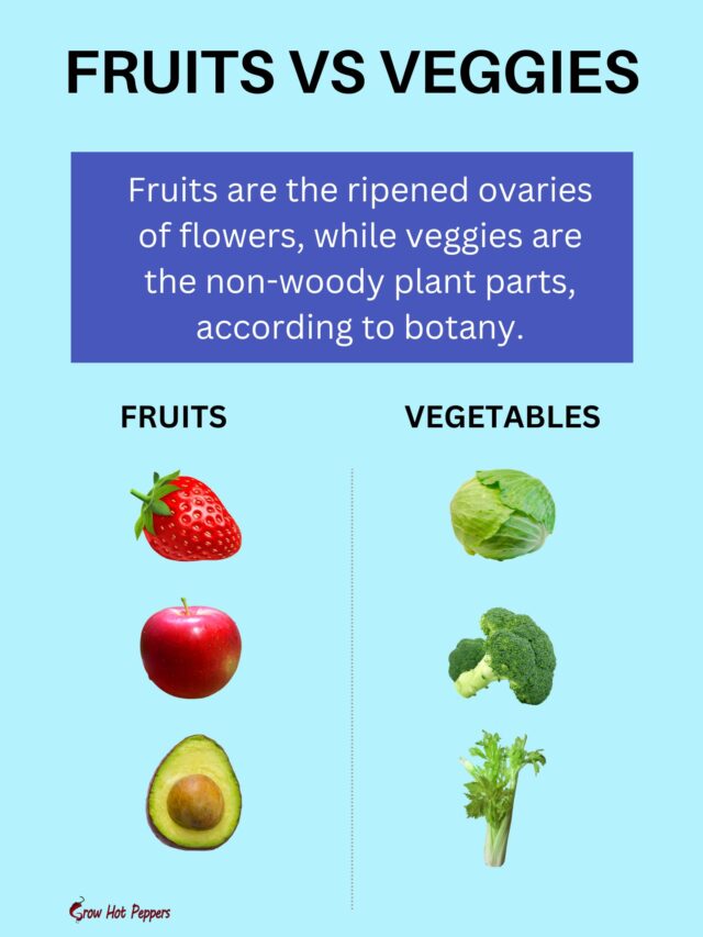 Are Peppers Fruits Or Veggies? Depends On Who You Ask - Grow Hot Peppers