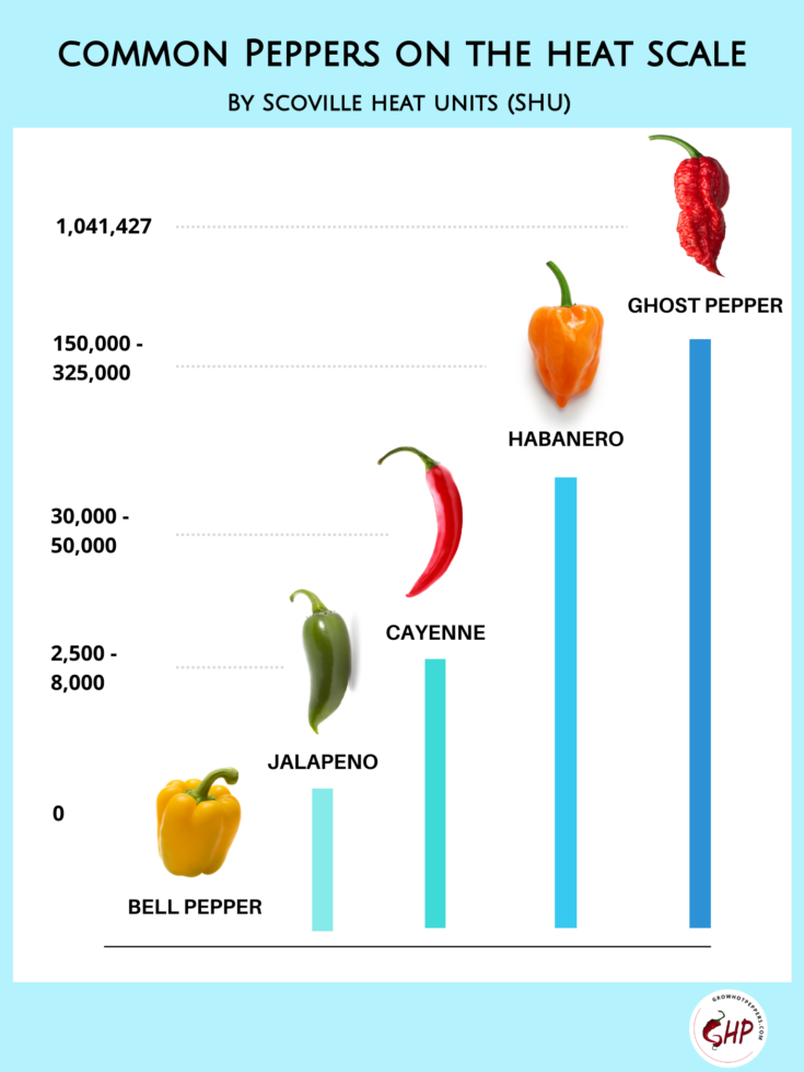 What Makes Peppers Hot? (+ Why They Make You Feel Drunk!) - Grow Hot ...