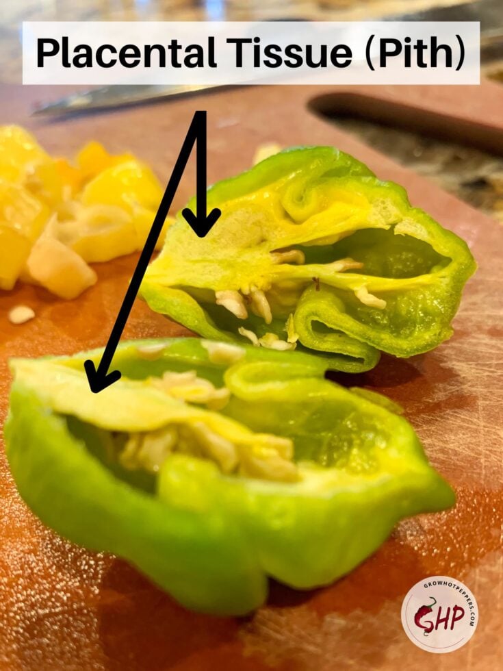 What Makes Peppers Hot? (+ Why They Make You Feel Drunk!) - Grow Hot ...