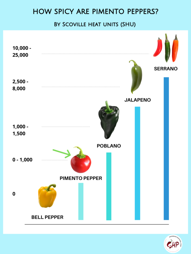 Pimento Peppers (Pimiento Peppers): A Definitive Guide To This Heart ...