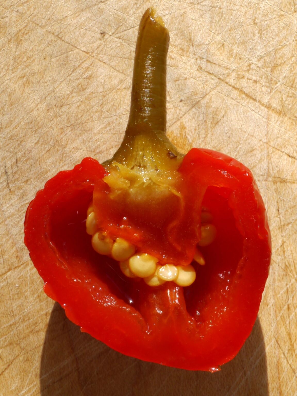Pimento Peppers (Pimiento Peppers): A Definitive Guide To This Heart ...