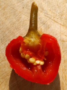 Pimento Peppers (Pimiento Peppers): A Definitive Guide To This Heart ...