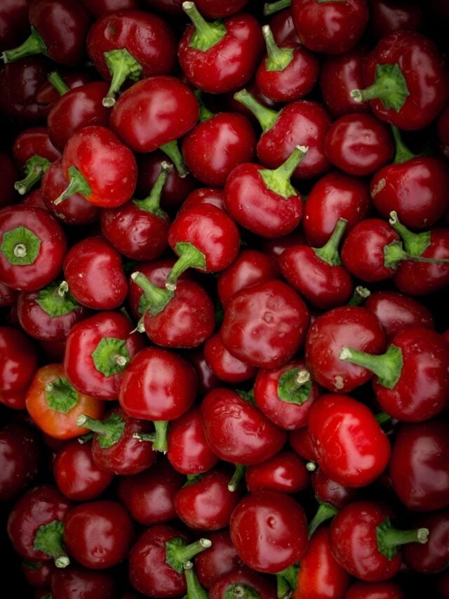 Pimento Peppers (Pimiento Peppers): A Definitive Guide To This Heart ...