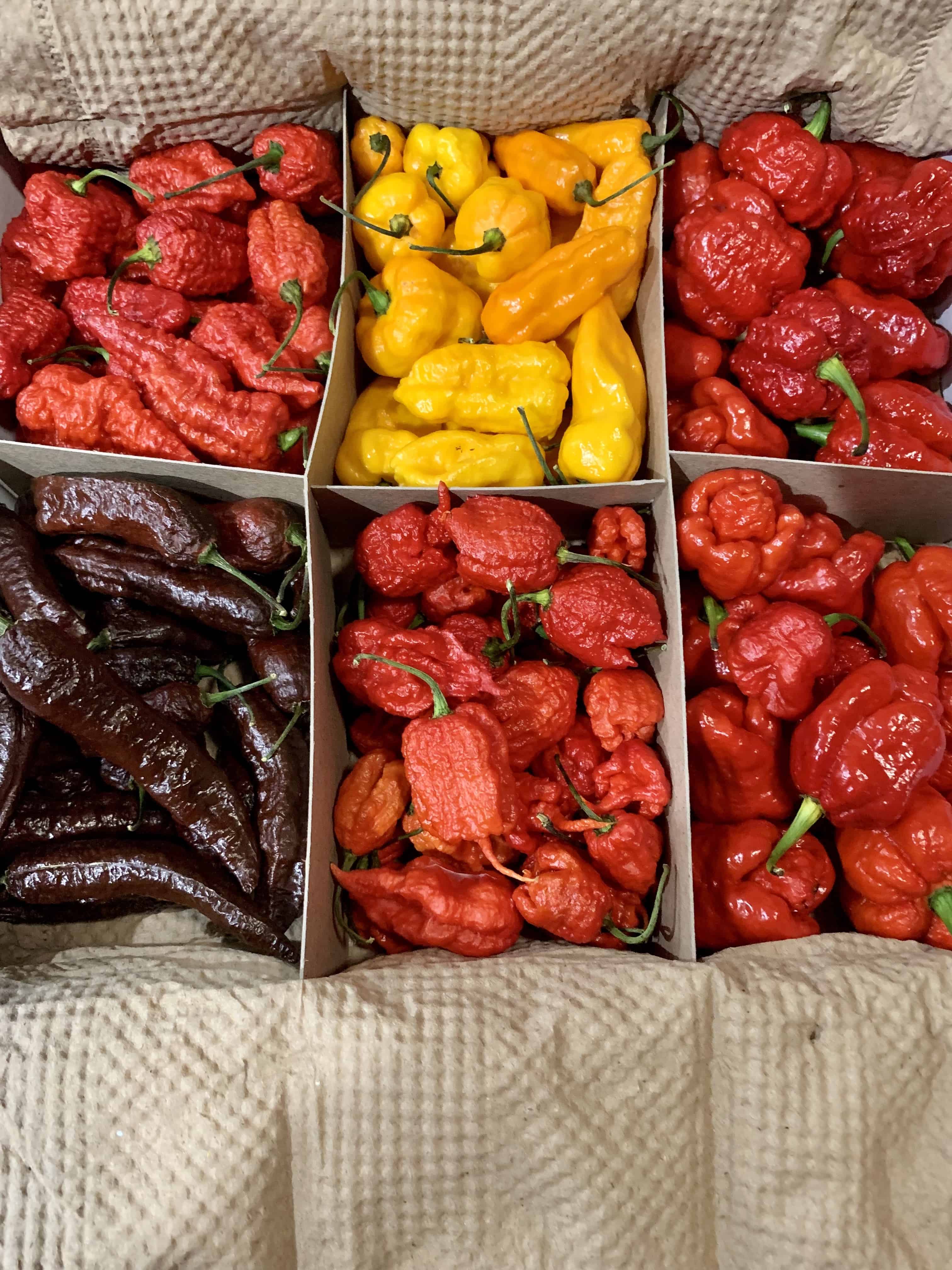 45 Perfect Gifts For Hot Sauce Lovers 2025 - Grow Hot Peppers