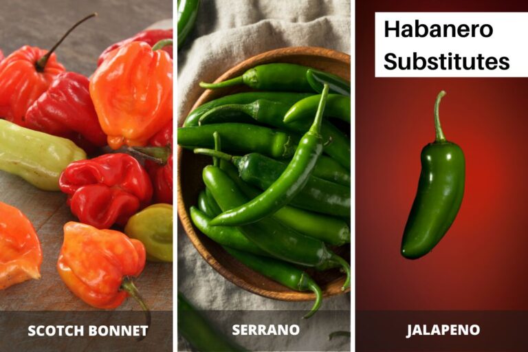 Habanero Pepper 101: Here's What You Want To Know (+ Easy Habanero ...