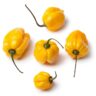 Scotch Bonnet Vs Habanero: Revealing 3 Key Differences In This Spicy ...