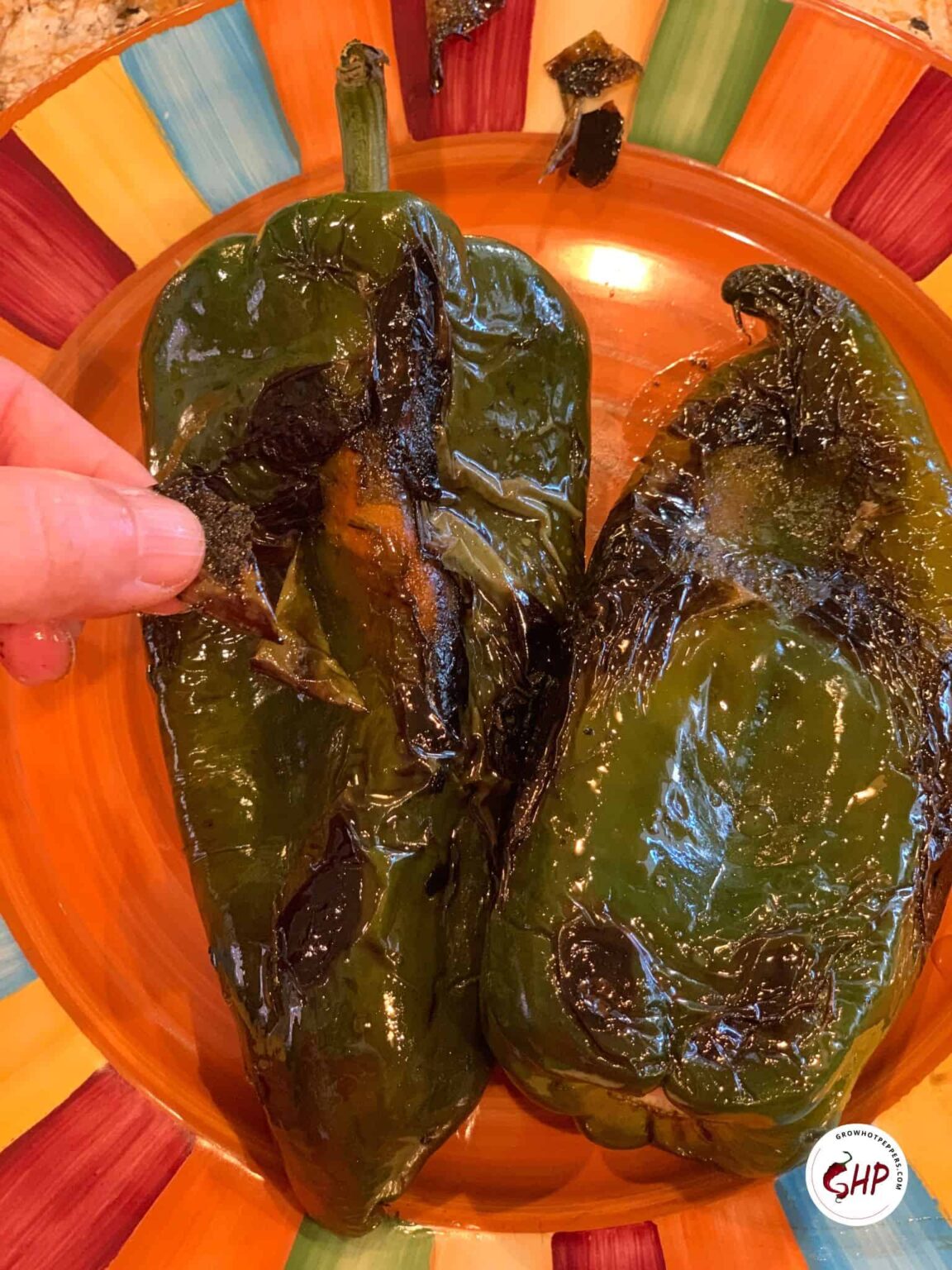 Poblano Peppers: Scoville, Cooking, & Growing + 3 Easy Ways To Roast ...