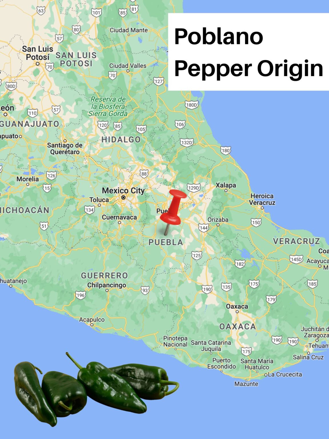 Poblano Peppers: Scoville, Cooking, & Growing + 3 Easy Ways To Roast ...