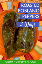 Poblano Peppers: Scoville, Cooking, & Growing + 3 Easy Ways To Roast ...