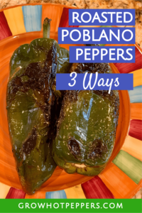Poblano Peppers: Scoville, Cooking, & Growing + 3 Easy Ways To Roast ...
