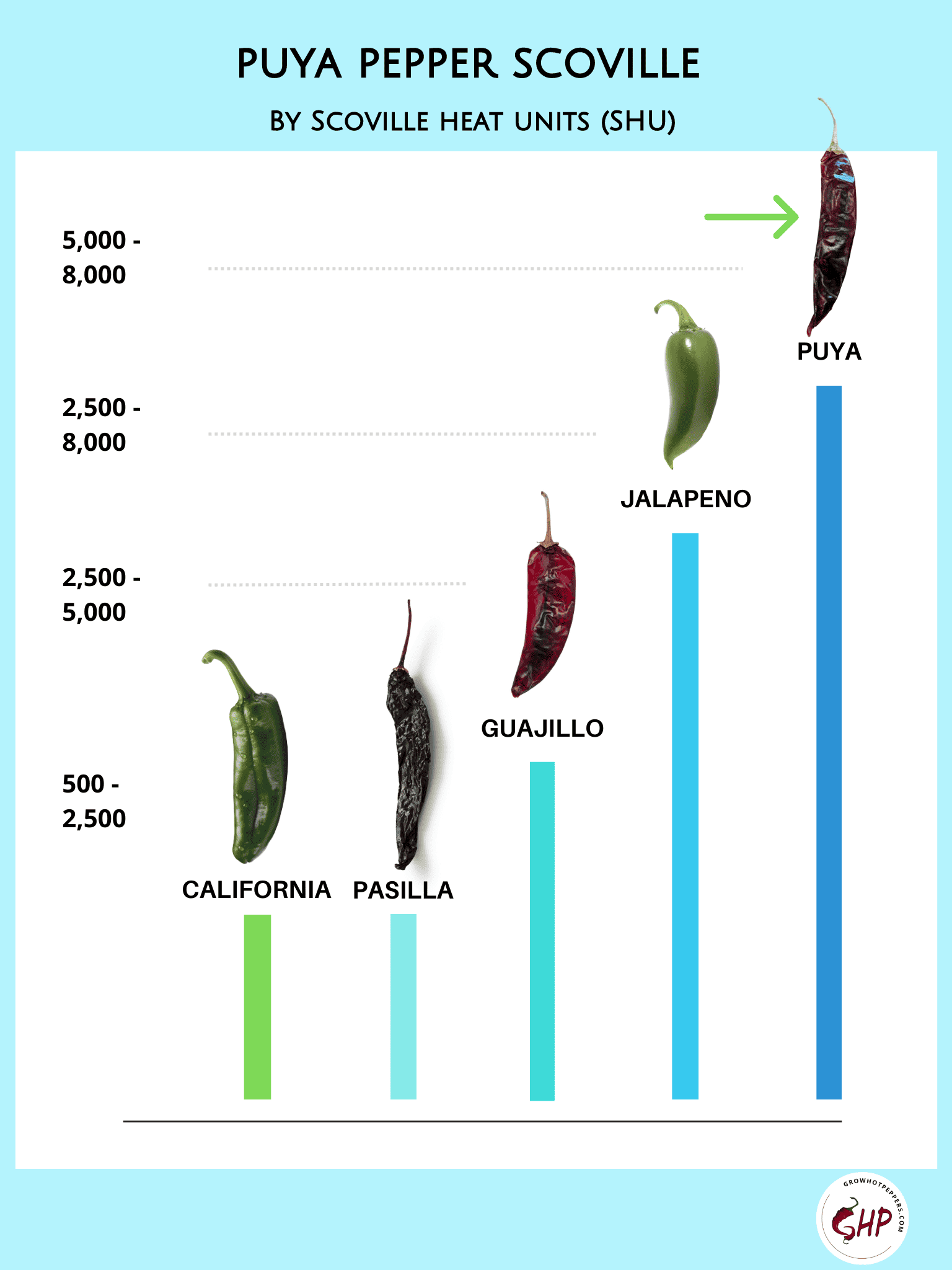 Chile Puya 101: About This Deliciously Spicy Mexican Pepper (+ How To ...