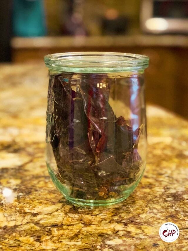 Chile Pasilla: About The Delicious "Little Raisin" Pepper + 7 Step ...