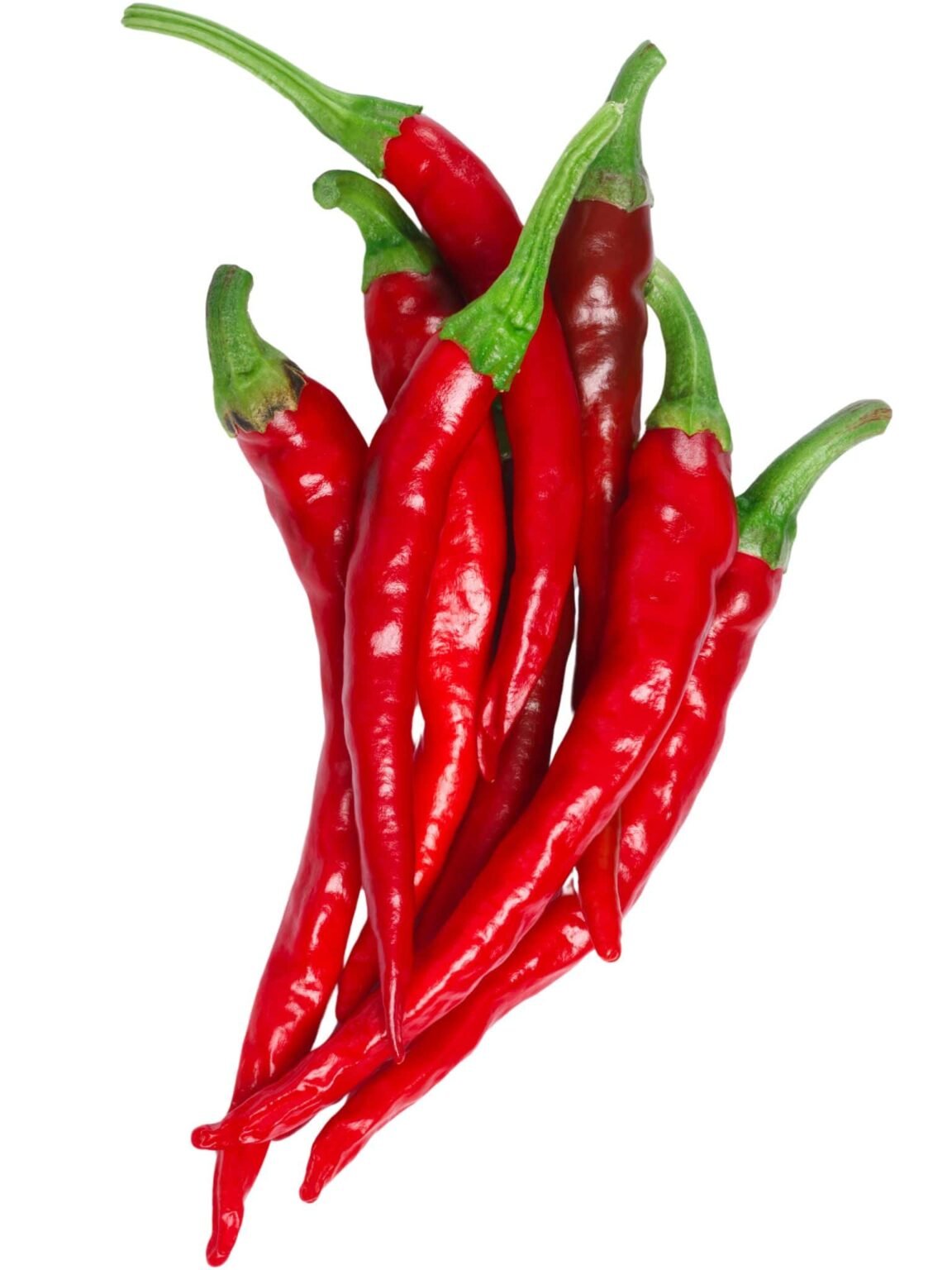 23 Mexican Chiles You're Definitely Going To Want To Eat (and Grow ...