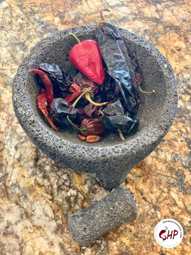 23 Mexican Chiles You're Definitely Going To Want To Eat (and Grow ...