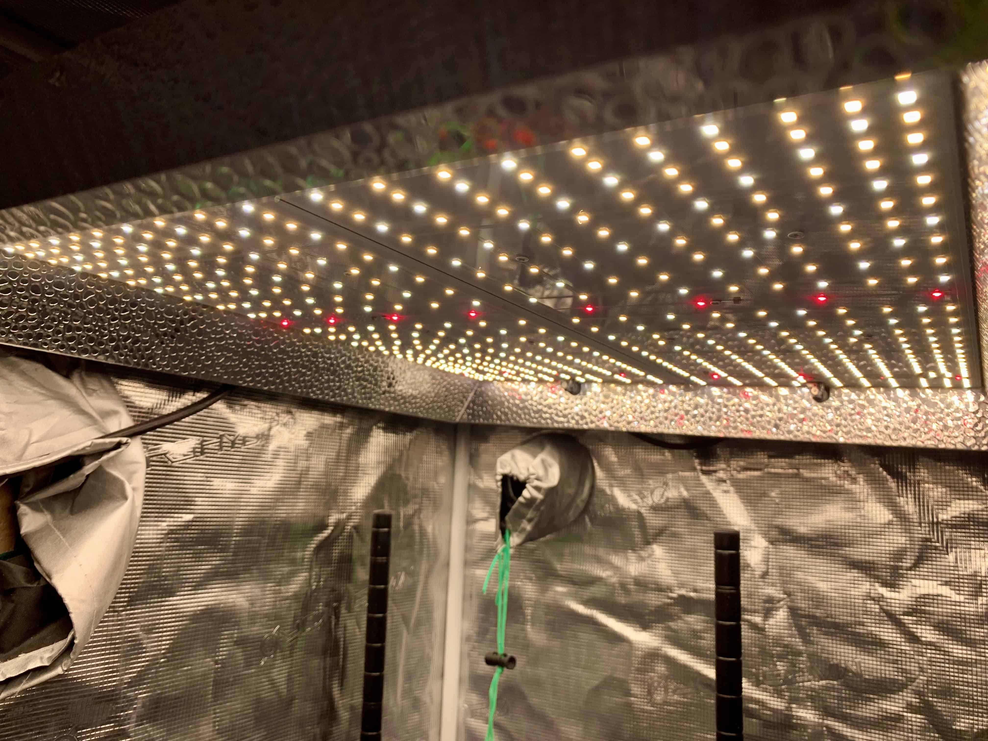 Indoor Grow Lights For Starting Seeds 101 | Grow Hot Peppers