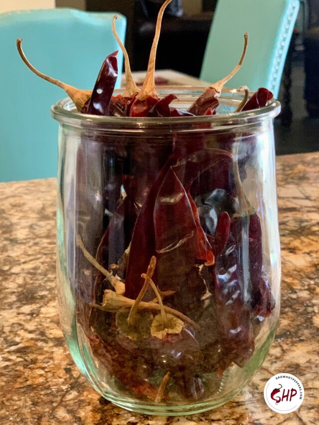 How To Rehydrate Dried Peppers In 5 Easy Steps - Grow Hot Peppers